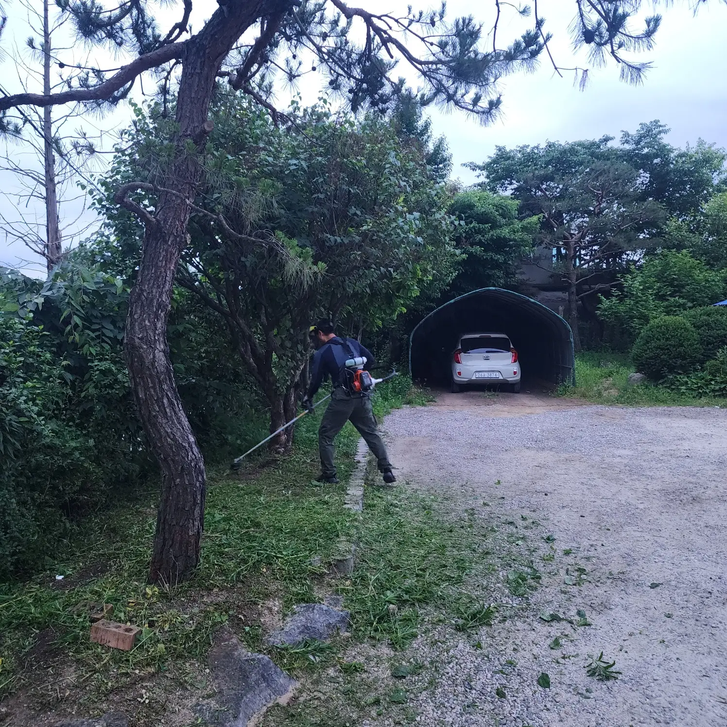 구리시 까페 정원 예초 작업 벌초 예초 작업대장 작업은 프로에게 맞겨주세요 숨고 숨은고수