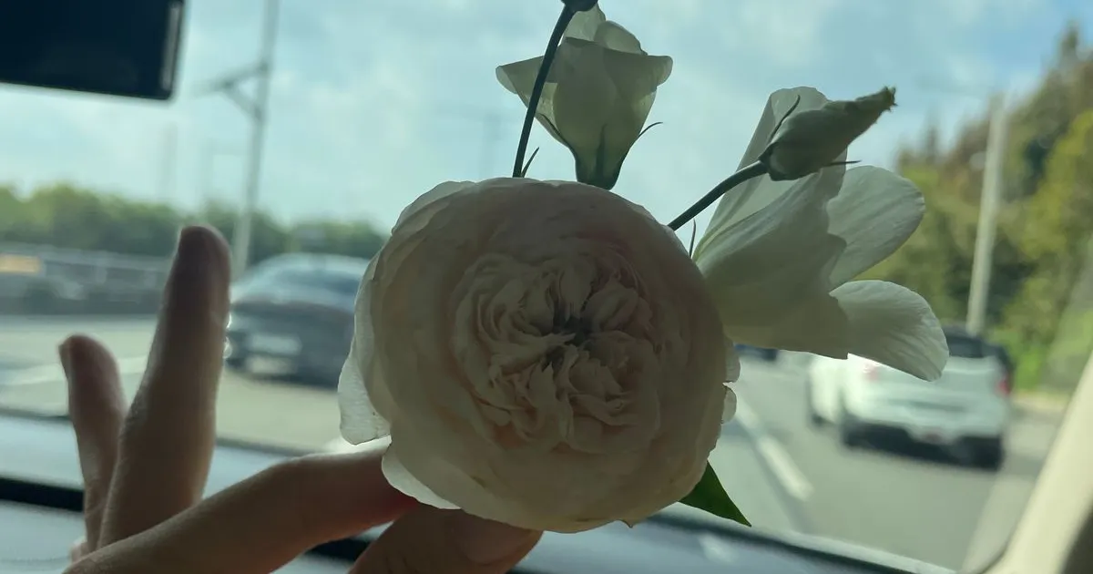 루이비스웨딩홀 중구 박고운 숨고 숨은고수