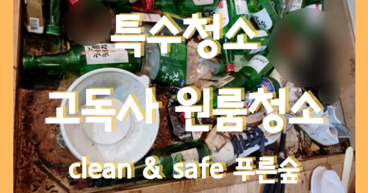 고독사청소 푸른cs 고객의 공간을 Clean하고 Safe하게 숨고 숨은고수