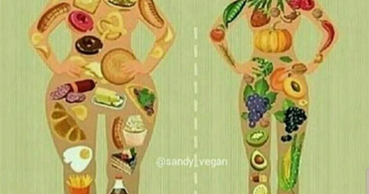 설문작성 후 교육상담 가능합니다 이경아 숨고 숨은고수