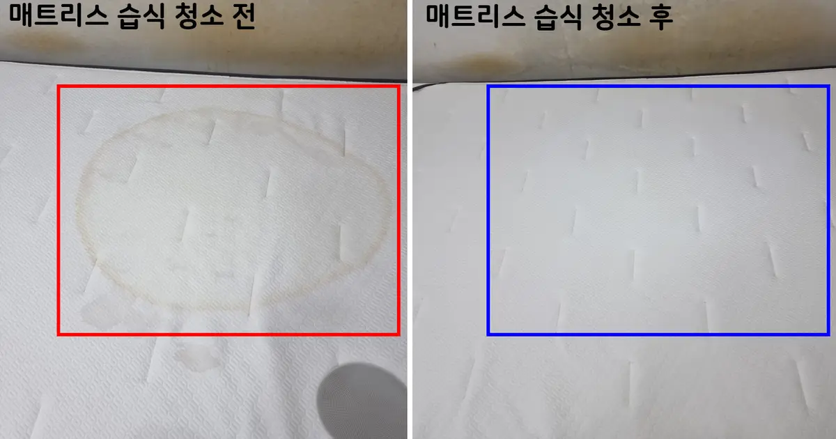 침대 매트리스 오줌 실수 자국 제거 클린공방 숨고 숨은고수