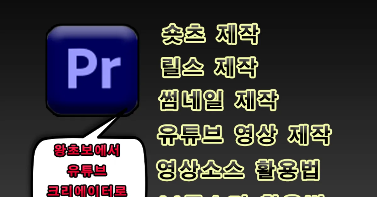 왕초보님들 집중 편집 레슨 해 드립니다 이소윤 숨고 숨은고수