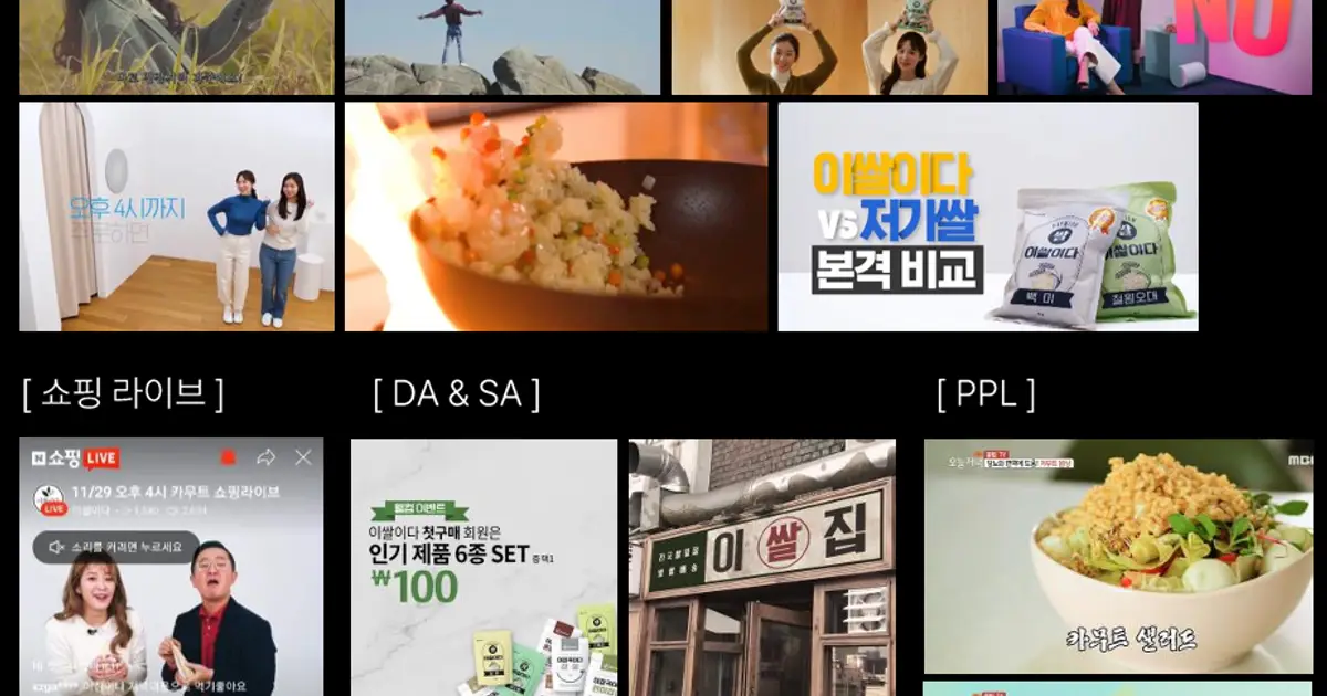 이푸른주식회사 브랜드 Imc 캠페인 디지털 마케팅 경력 17년의 고수 앤트웨이브 숨고 숨은고수