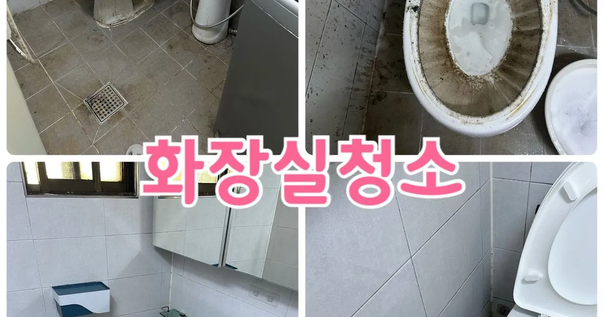 화장실청소 청소guy 숨고 숨은고수