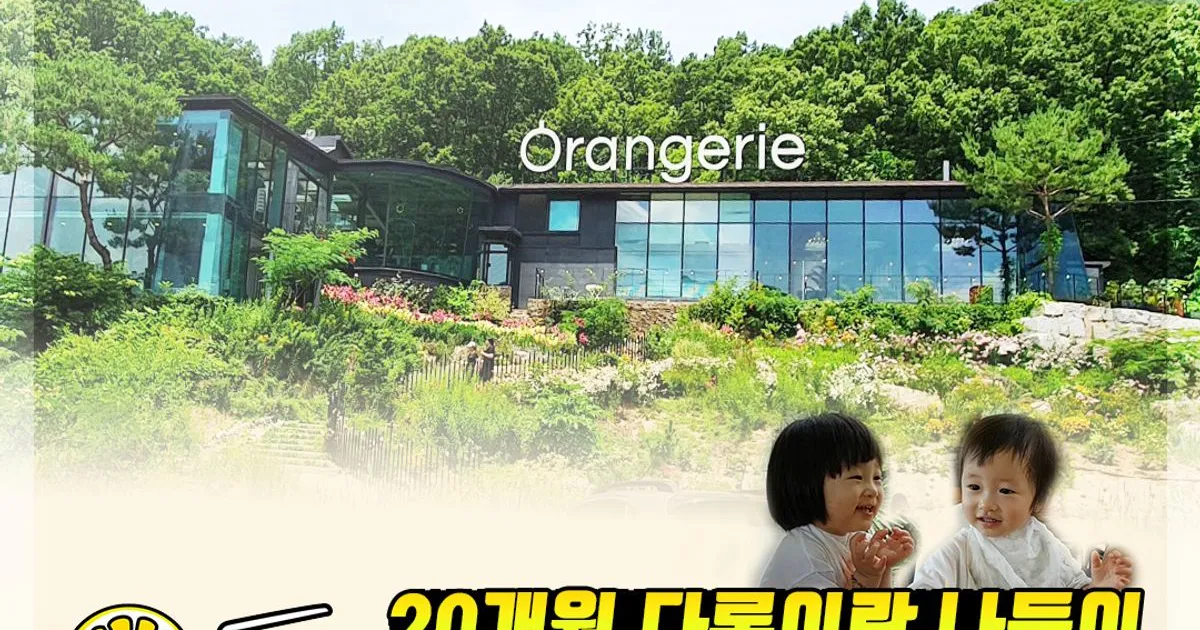 인스타그램 카드뉴스 포트폴리오 이진아 숨고 숨은고수