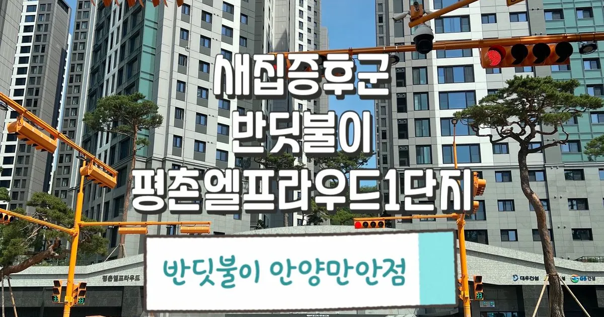 반딧불이 새집증후군 안양 평촌엘프라우드1차 시공 사례 반딧불이 새집증후군 숨고 숨은고수