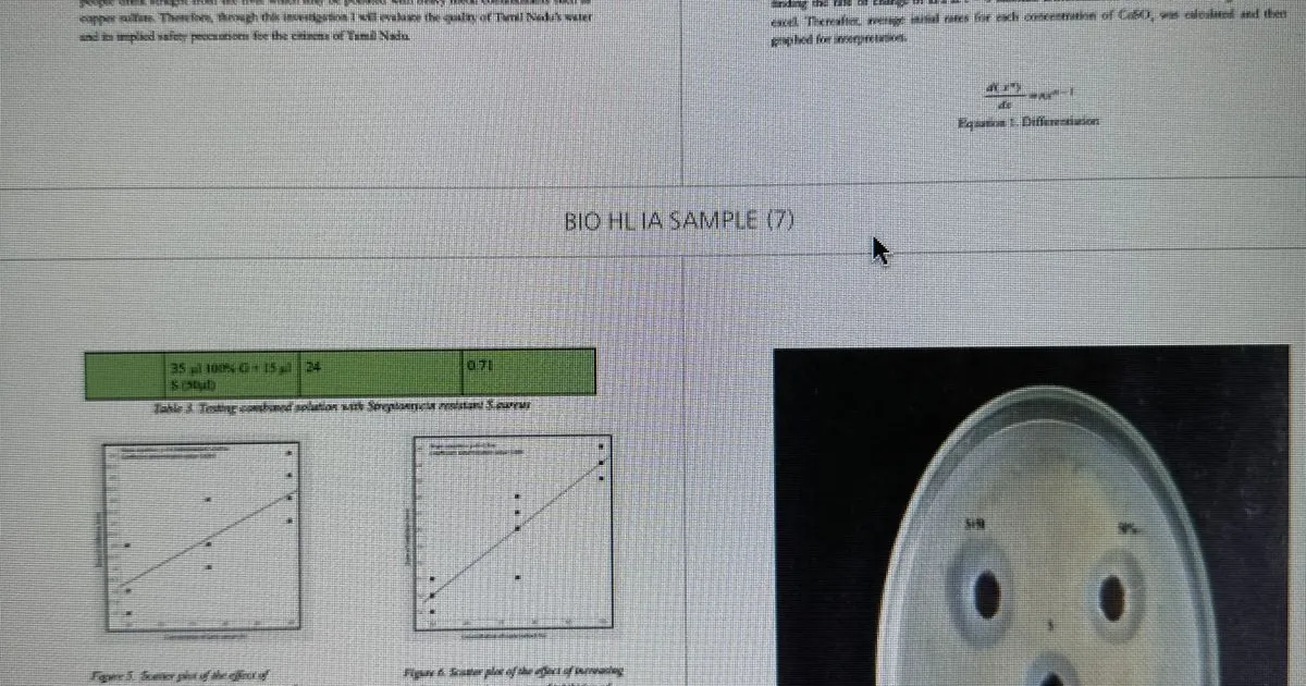 EE sample / 김상원 - 숨고, 숨은고수