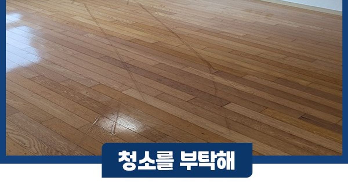 여의도 원룸 최고의 오염도 현장을 만났습니다 ⭕️청소를부탁해 ️5일as입주청소이사청소에어컨청소 숨고 숨은고수