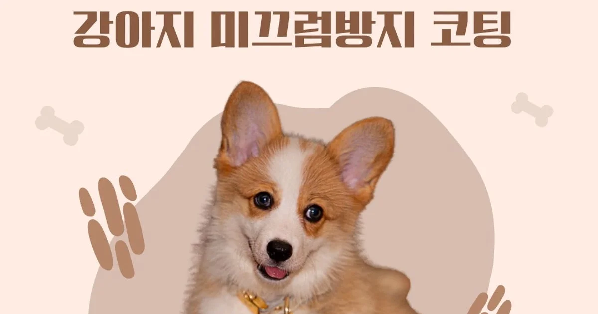 반려견 전용 미끄럼방지코팅 나노프로코팅 숨고 숨은고수