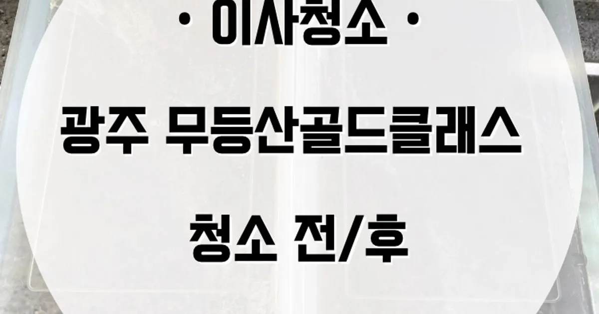 광주 무등산골드클래스 브이홈클린 숨고 숨은고수
