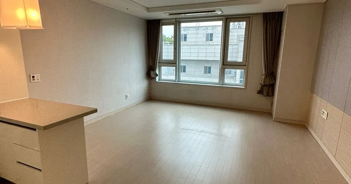 전주 테움펠리피아 뽀송뽀송 클리닉 숨고 숨은고수
