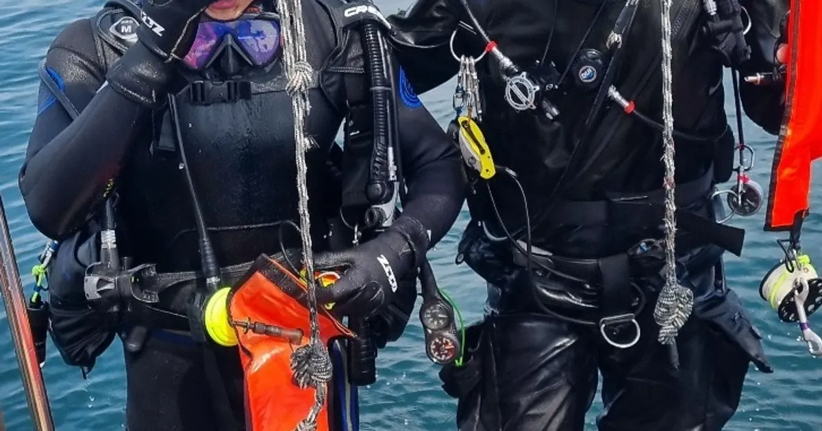 어드밴스드오픈워터 젠틀다이버스gentle Divers 숨고 숨은고수