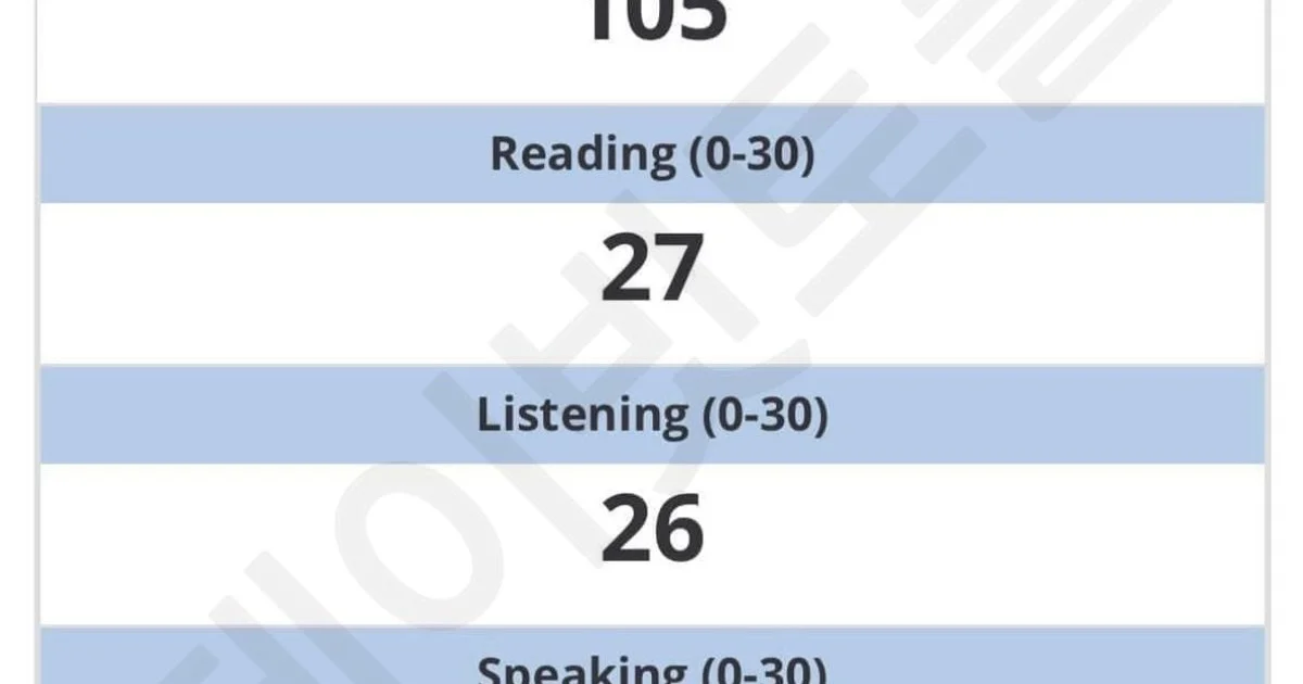 토플105점 미국대학원 지원윤인님3개월 데이빗토플 숨고 숨은고수