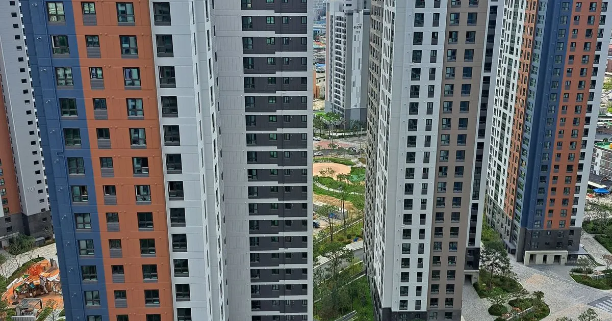 사전점검 현장과 점검과정 주식회사 체크앤체크 숨고 숨은고수