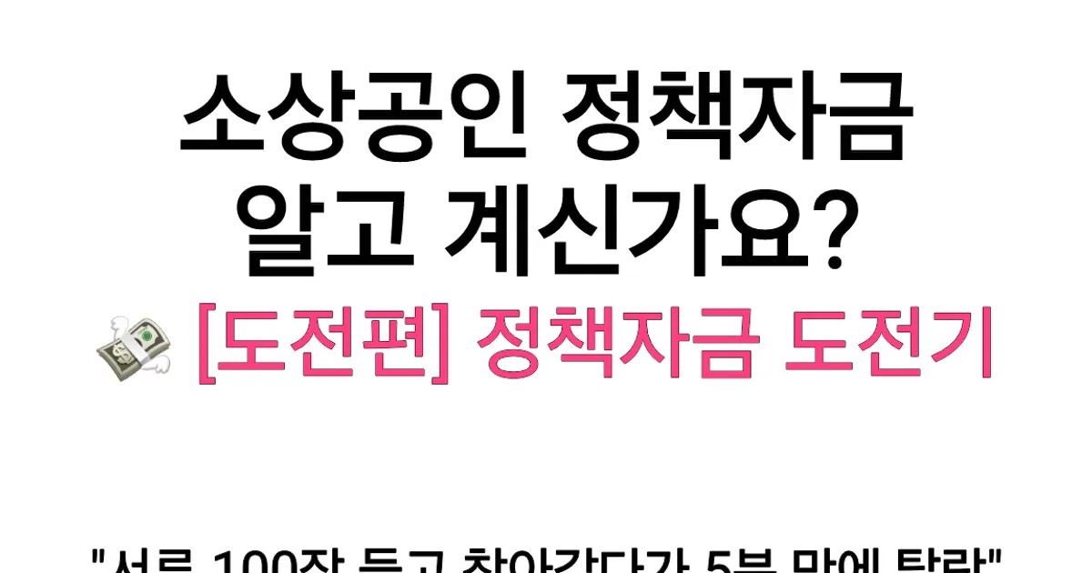 정책자금 진행 정책자금컨설팅 기업정책자금솔루션 룩스파트너스 숨고 숨은고수