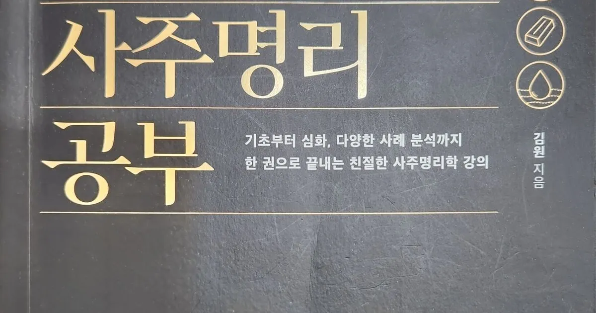 간명한 사주풀이를 원하시면 연락주세요 재드래곤 숨고 숨은고수
