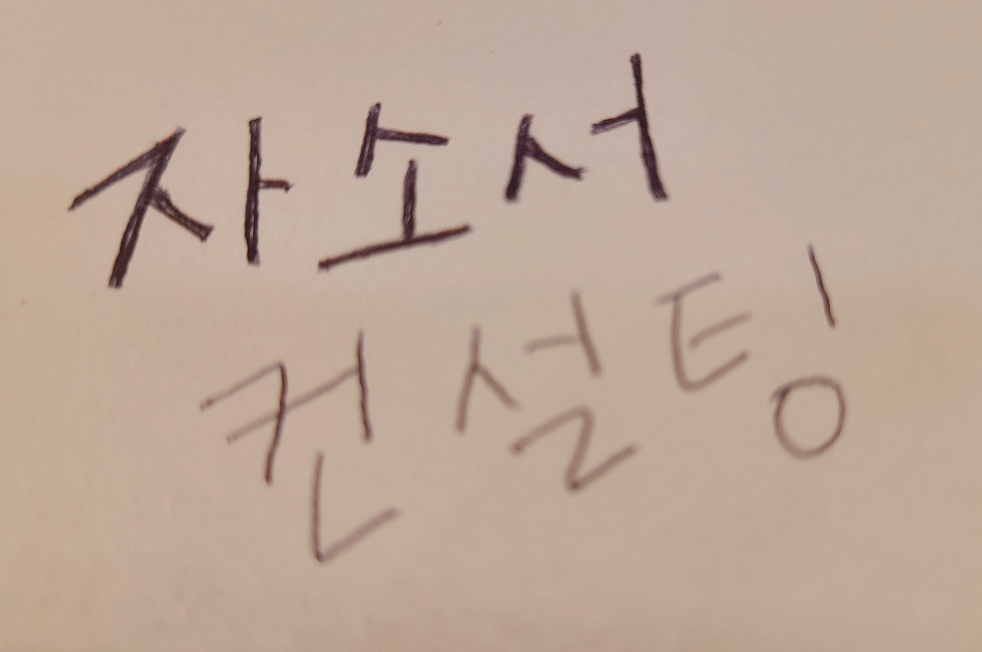 자소서 컨설팅 자소서 컨설팅 숨고 숨은고수