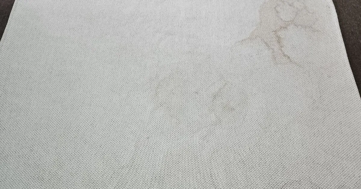 카페트 건식 및 얼룩제거 습식케어 깔끄룸 송파점 숨고 숨은고수