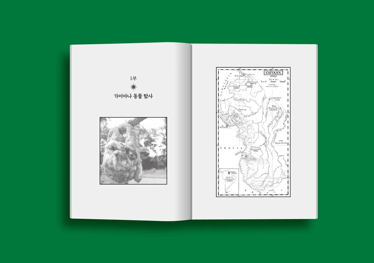 감각적인 책디자인 파인더스d 숨고 숨은고수