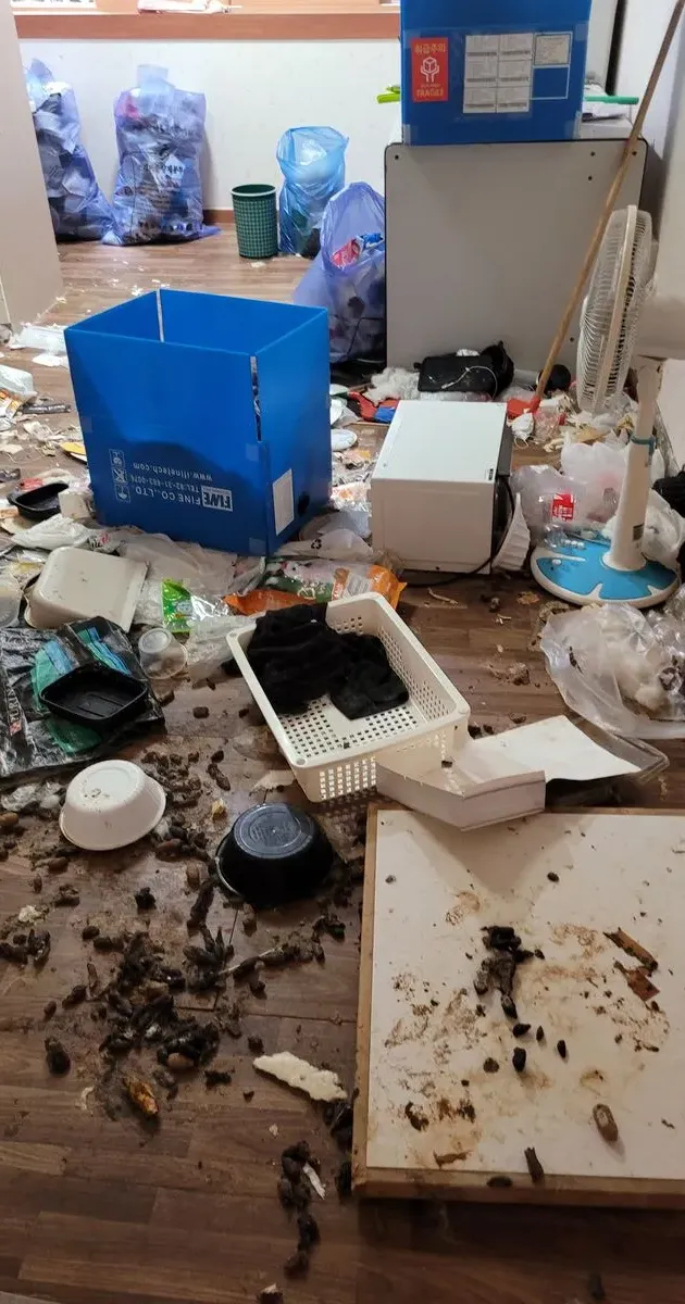 광주 지산동 원룸 쓰레기집청소퇴거청소 유디에스종합환경 광주본사 숨고 숨은고수