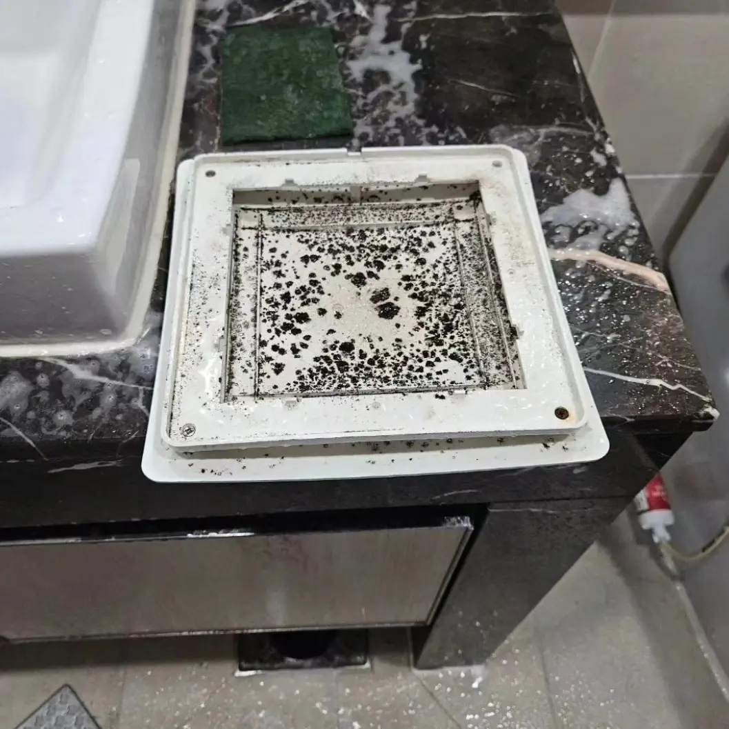 삼성에코토탈크린 삼성에코토탈크린 숨고 숨은고수