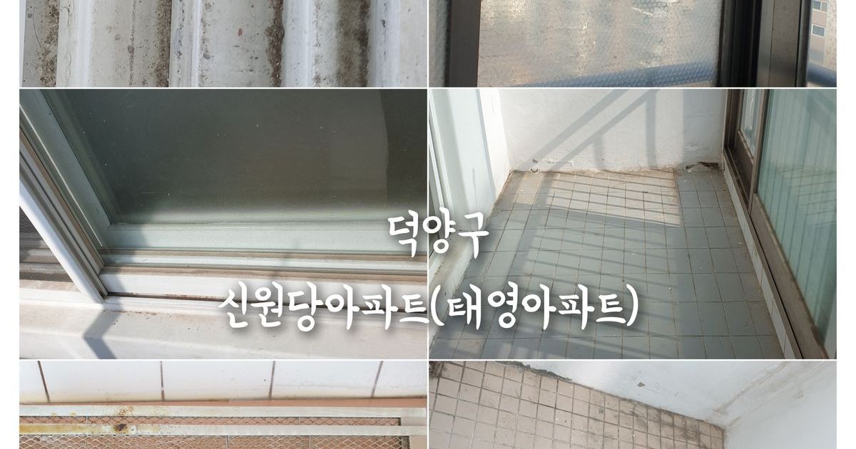 덕양구 신원당마을아파트 투룸 매일클린업곽성광 숨고 숨은고수