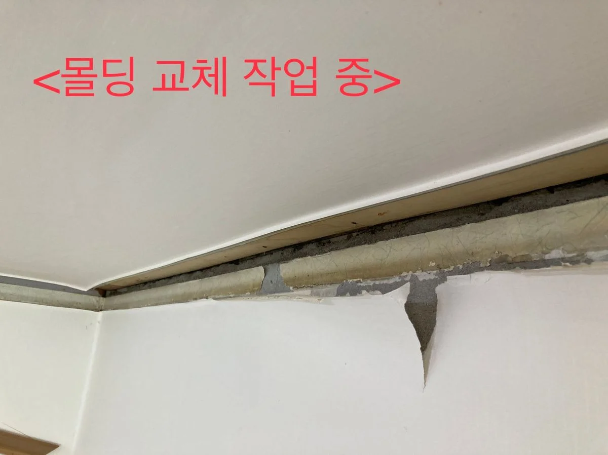 논현동 천정몰딩 걸레받이 교체 작업 문병요 숨고 숨은고수