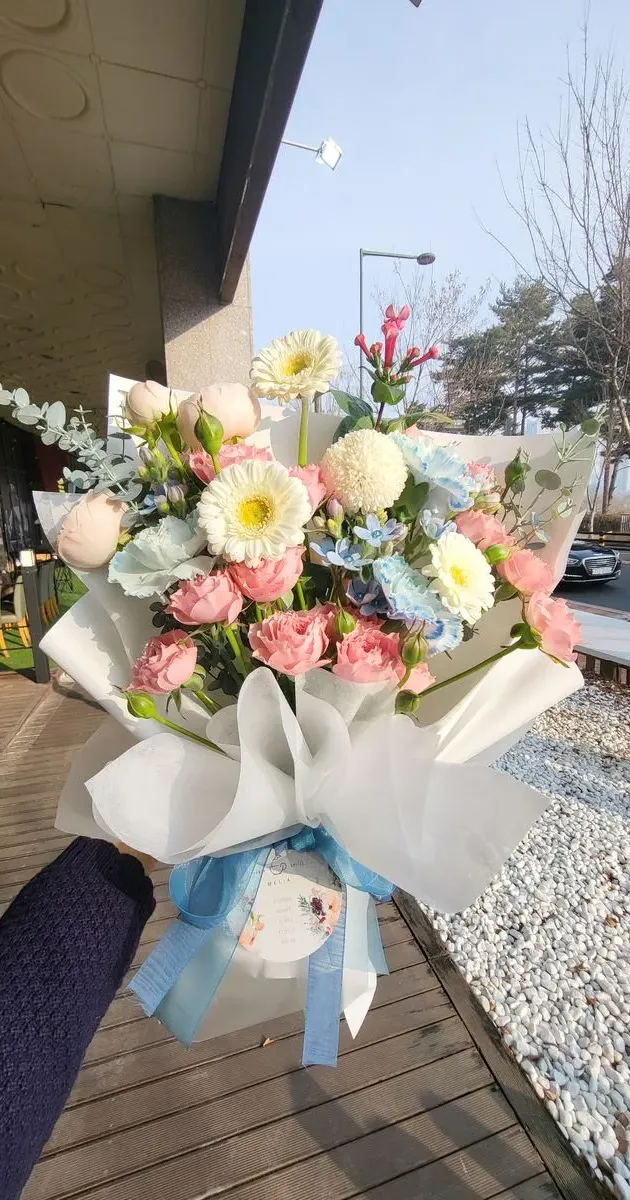 꽃다발및 꽃바구니 배현아 숨고 숨은고수