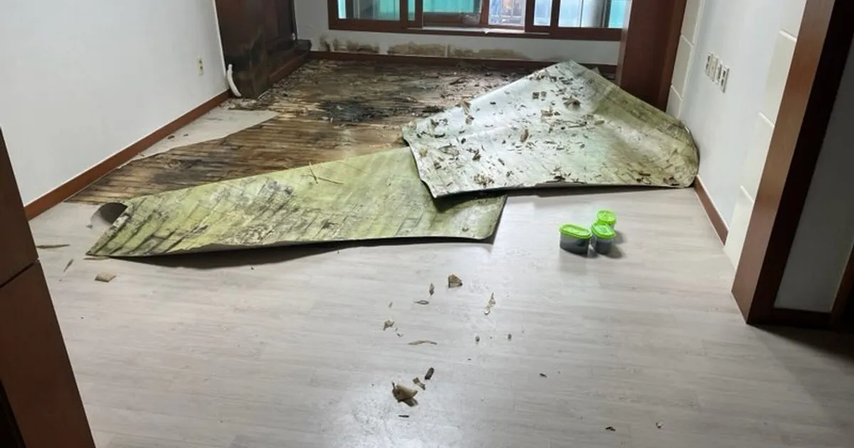 대구 우방드림시티 천인기 숨고 숨은고수