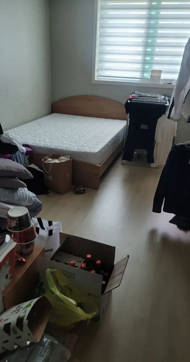 퀸 매트리스 청소 소변및얼룩 제거 한국바로크린 숨고 숨은고수
