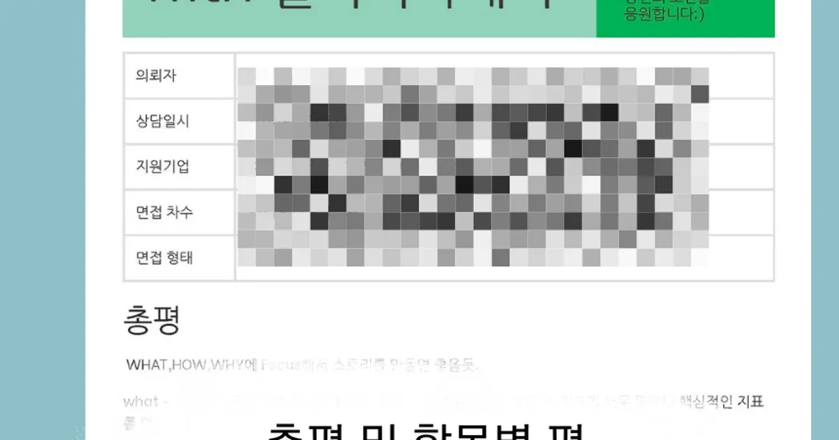 피드백 리포트 일머리마케터 숨고 숨은고수