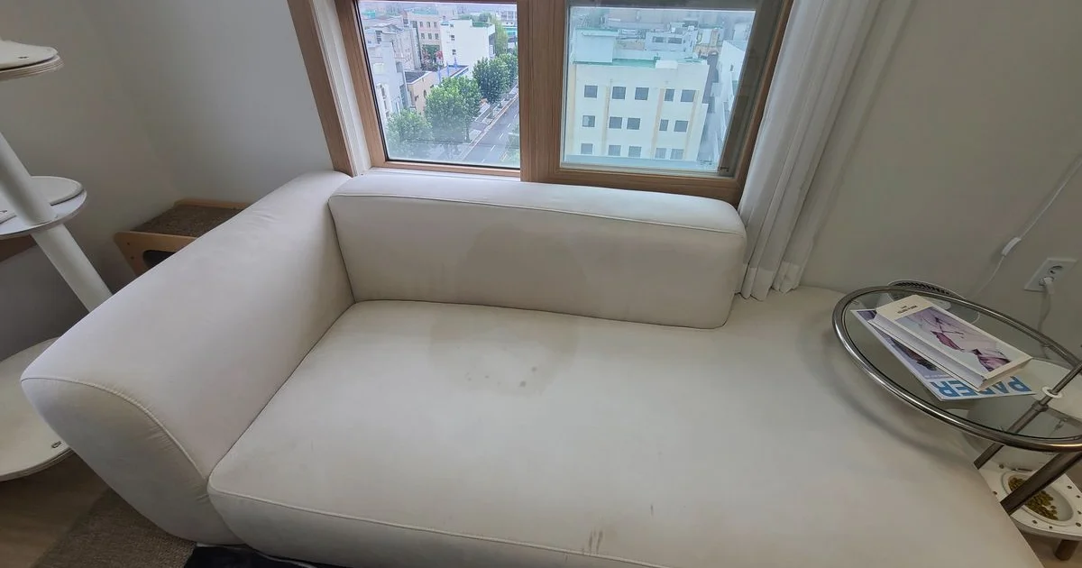 고양이 소변 얼룩냄새 제거😁 클린특공대 숨고 숨은고수