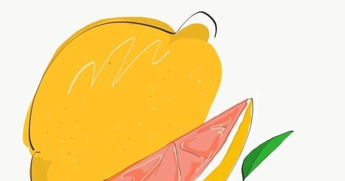 디자인 드로잉 일러스트 포토샵 김하은 숨고 숨은고수