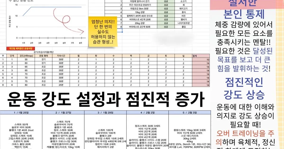 다이어트벌크업습관관리우울개선 프로그램 한희민 숨고 숨은고수