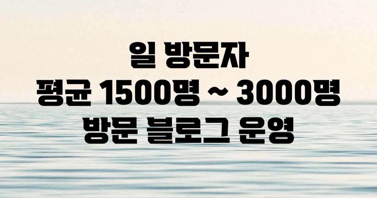 블로그 방문자 천명 만들기 이다솜 숨고 숨은고수