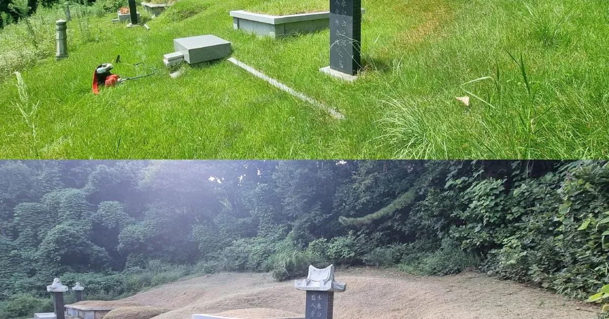 포천 40평봉분3기 조수범 숨고 숨은고수