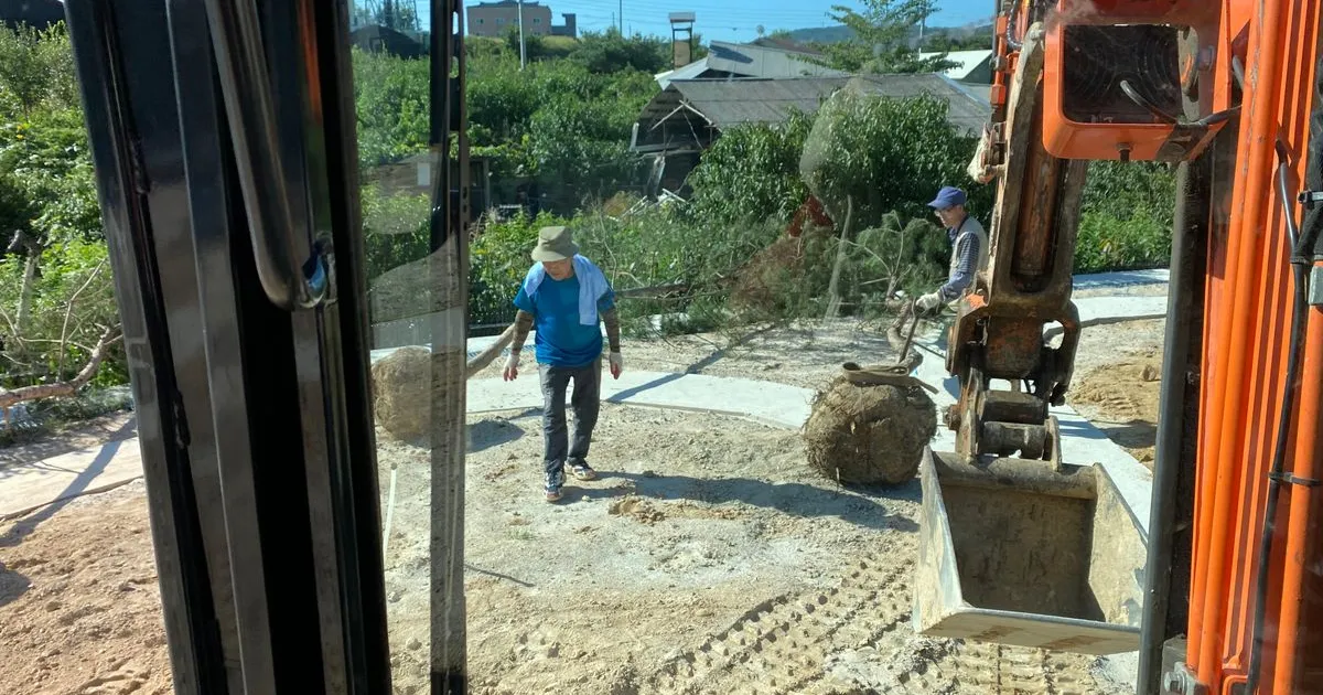소나무 식재 작업 김동현 숨고 숨은고수