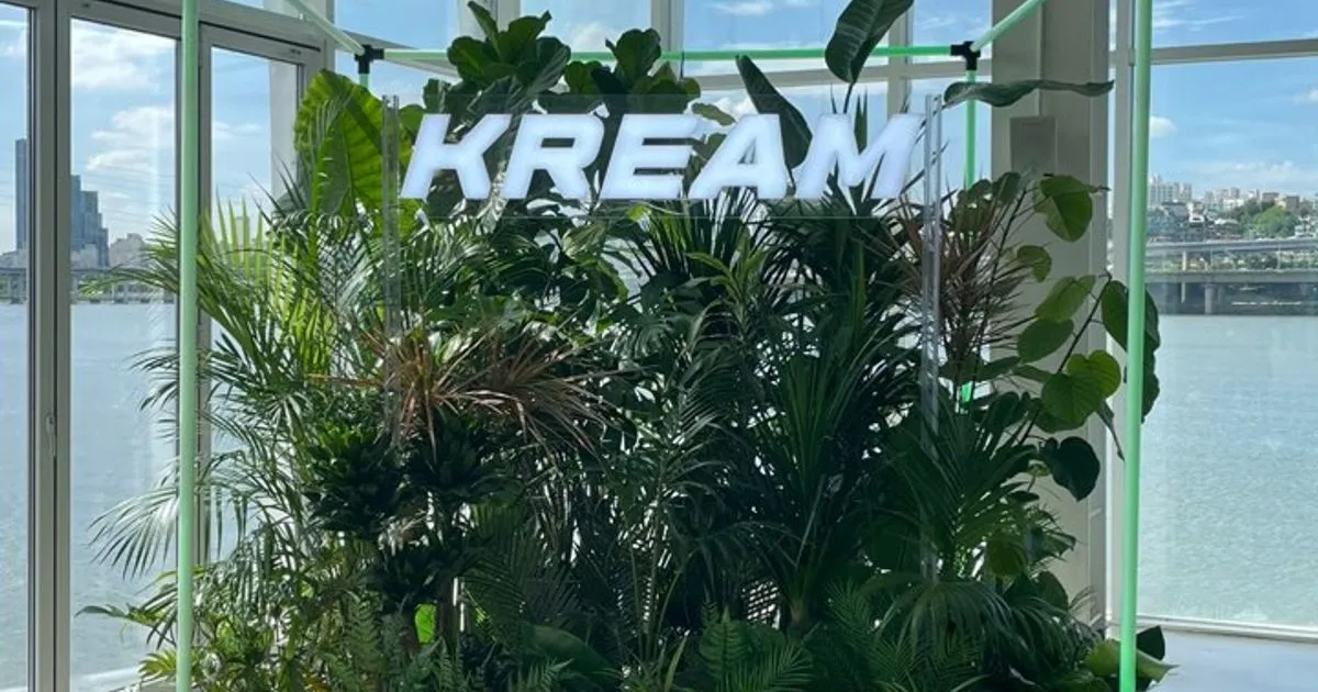 AOMG X KREAM AOMIX FEST 플랜테리어 / 이주현 - 숨고, 숨은고수