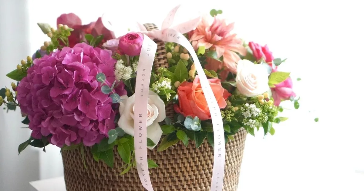 다양한 가격대의 작업물입니다 김가연 숨고 숨은고수