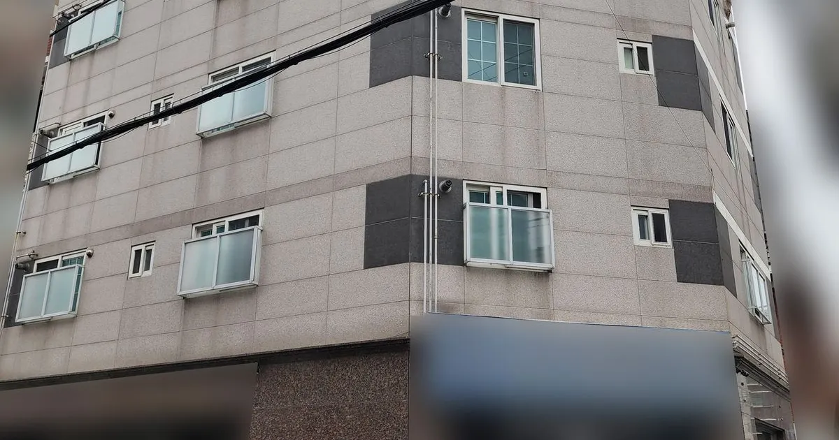 바퀴벌레에게 점령당한 통건물 버그솔루션 숨고 숨은고수