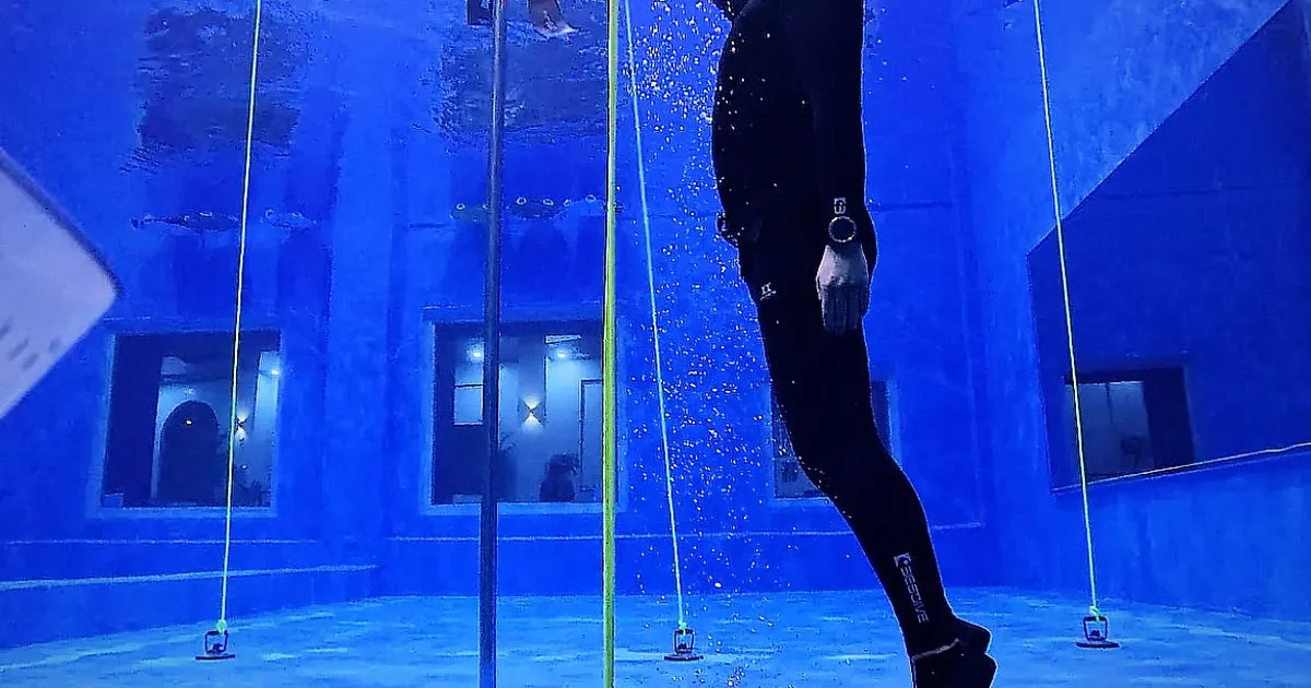 프리다이빙 곰곰강사 곰곰강사 숨고 숨은고수
