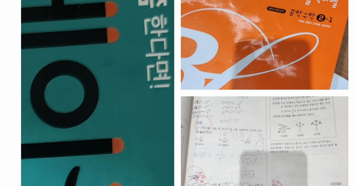 상위권수학생각하는개념수학 신현정 숨고 숨은고수