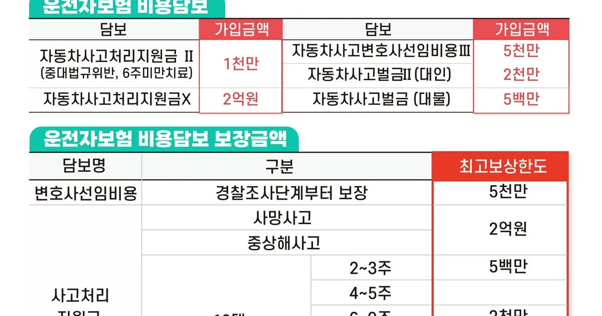 운전자보험 리모델링 6월중 필수완료 보상전문플래너 엄충렬 숨고 숨은고수