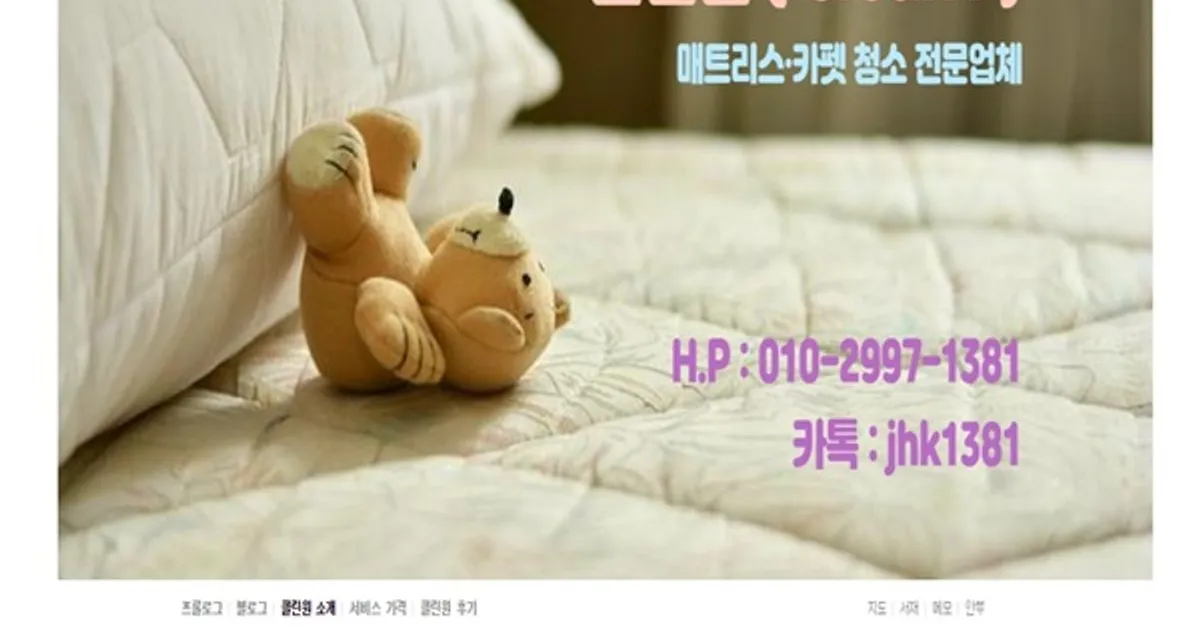 홈페이지형 블로그 만들기 And 대행관리 고도리뷰 컴퍼니 숨고 숨은고수
