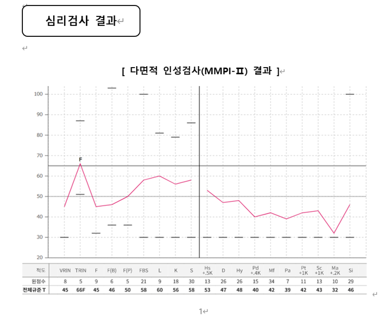 MMPI, SCT 심리검사 보고서 샘플입니다. / 김미정 - 숨고, 숨은고수