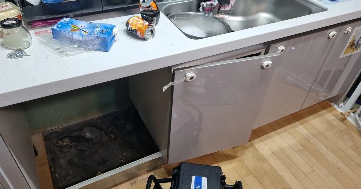 안양 석수동 빌라 싱크대 역류 해결 하수구 최반장 숨고 숨은고수