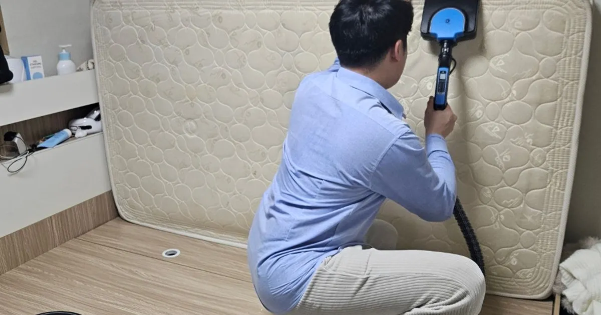 싱글 매트리스 건식 습식 스팀 풀케어 박멸가 비치움 홈케어 숨고 숨은고수