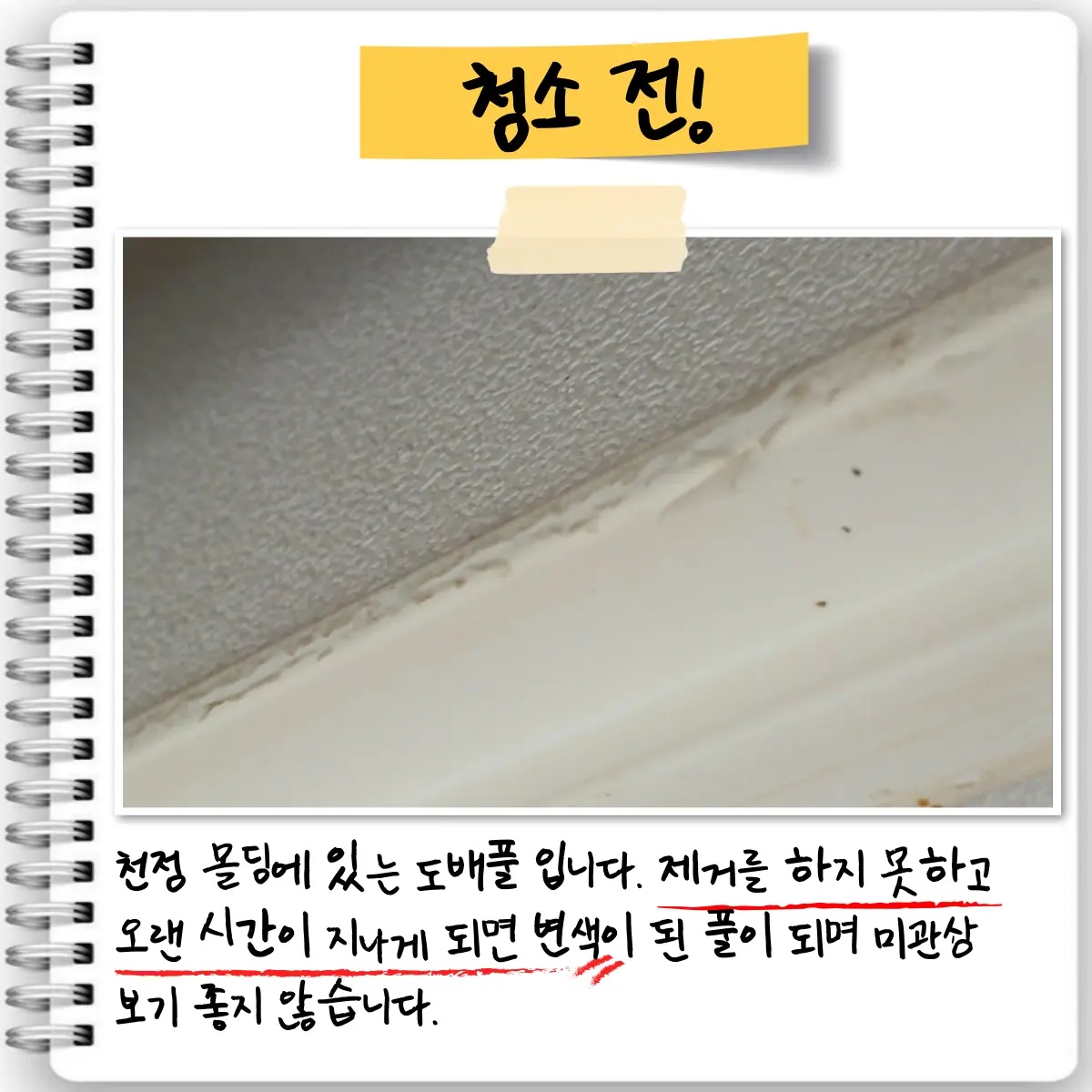 경남 김해 서희스타힐스 이사청소 청소공식 서비스만족도1등 전문 클리닝마스터 숨고 숨은고수
