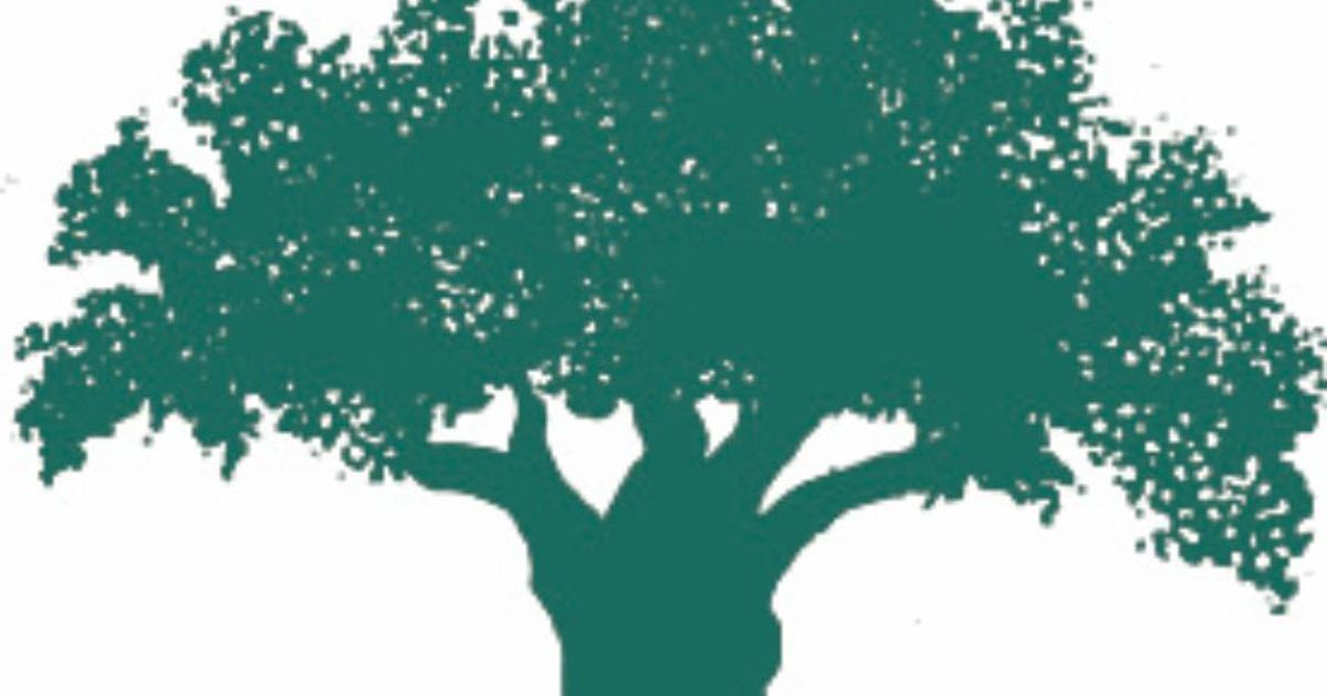 일러스트 디자인 포트폴리오입니다 로뎀 숨고 숨은고수