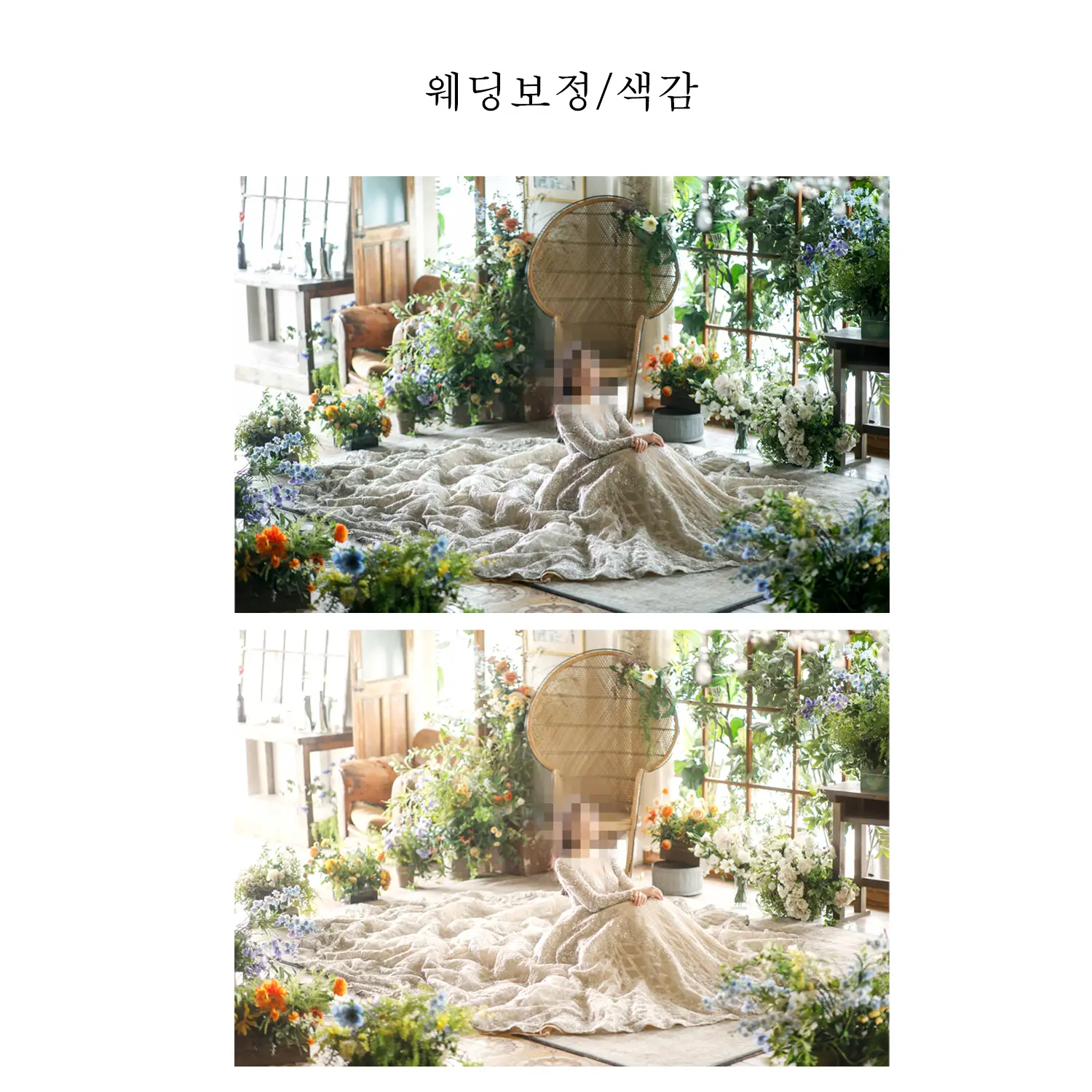 인물보정 프로필웨딩가족커플증명여권 솔레르륀 숨고 숨은고수